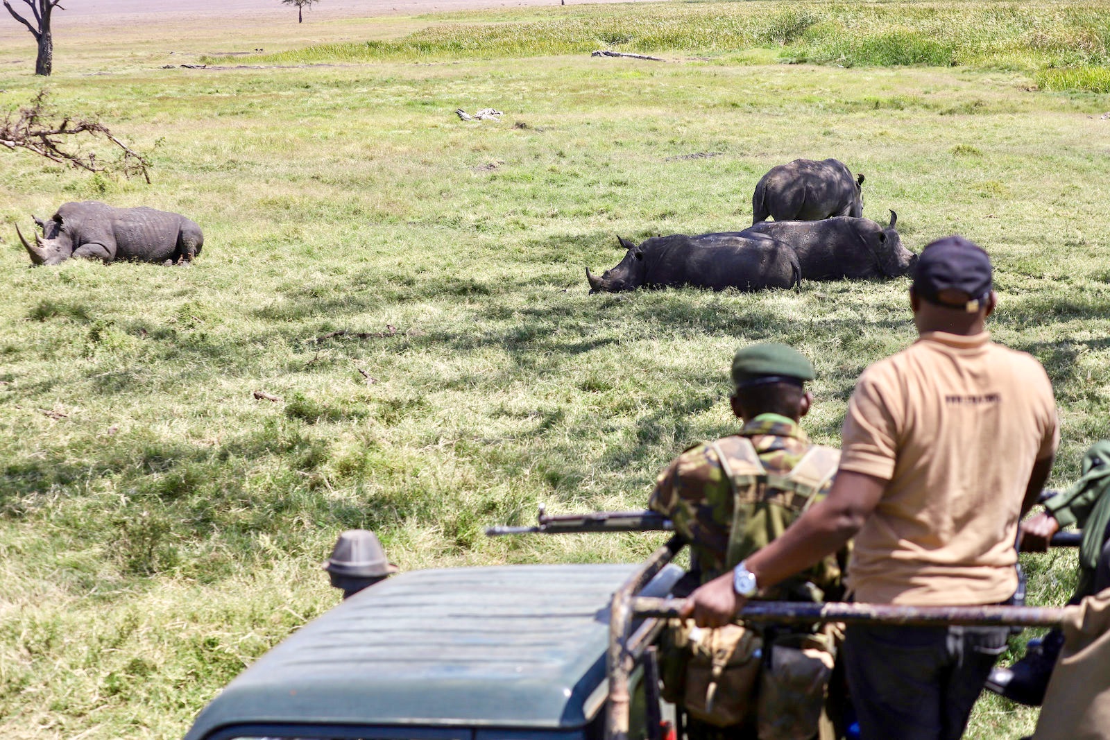 Kenya World Wildlife Day | News, Sports, Jobs - Marietta Times